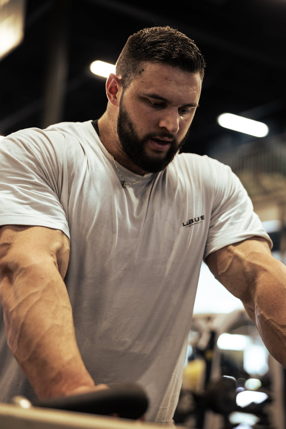 Collections – LABRUTE